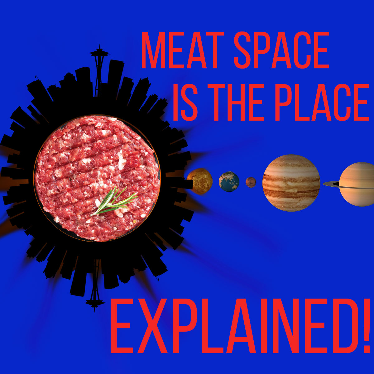 Meat Space Explained - Amber Bird | Blog